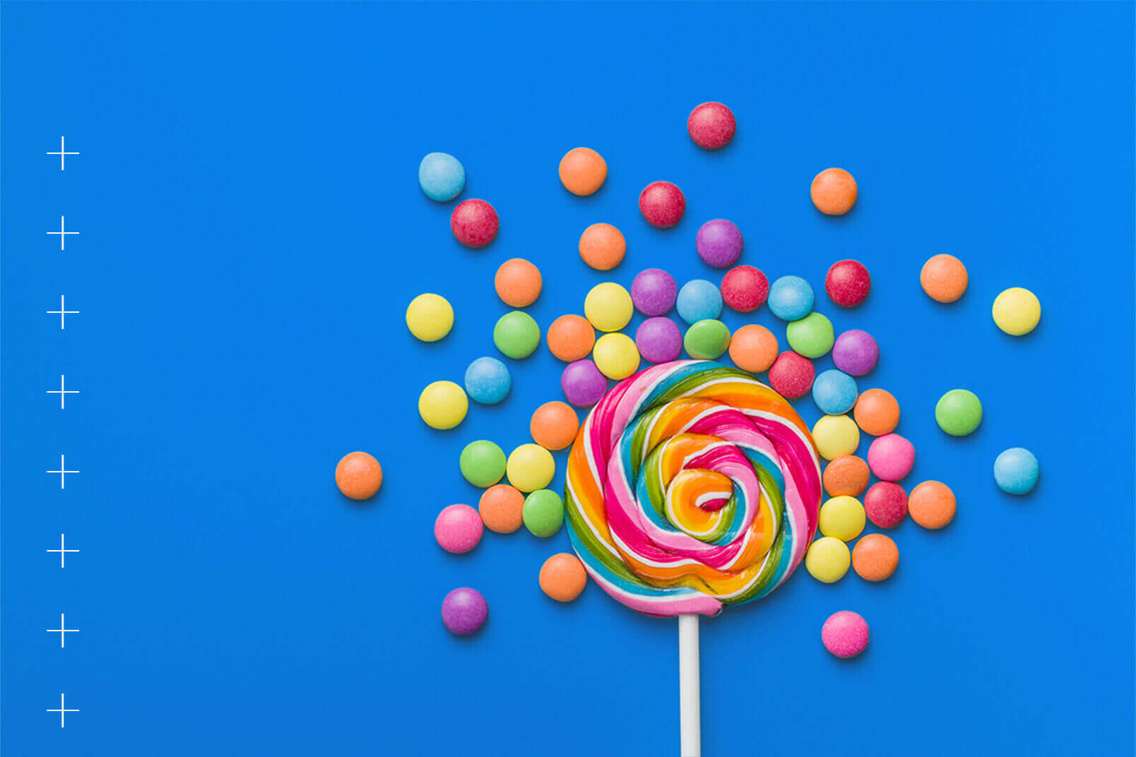 Neues IDEXX Animana Update: Die Highlights der Version 6.7 - IDEXX Software